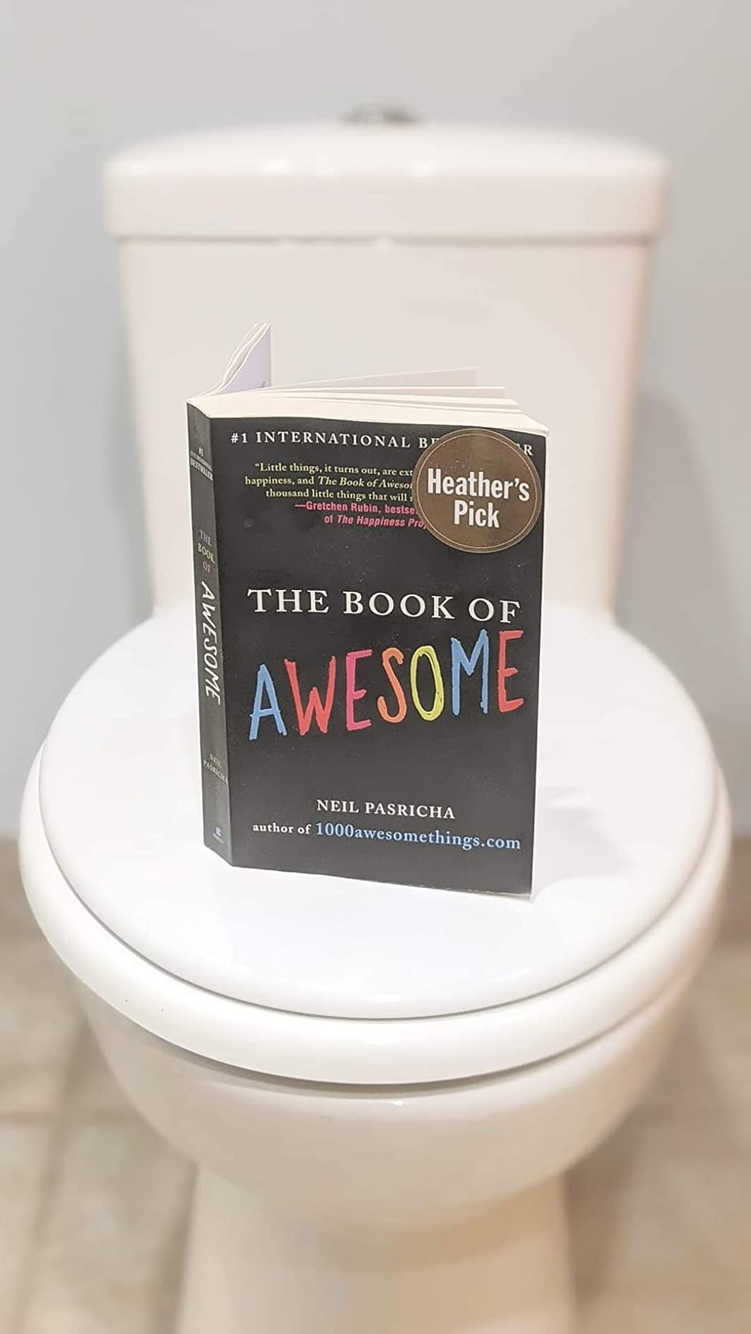 The Book of Awesome: Pasricha, Neil: 8601300265070: Books - Amazon.ca
