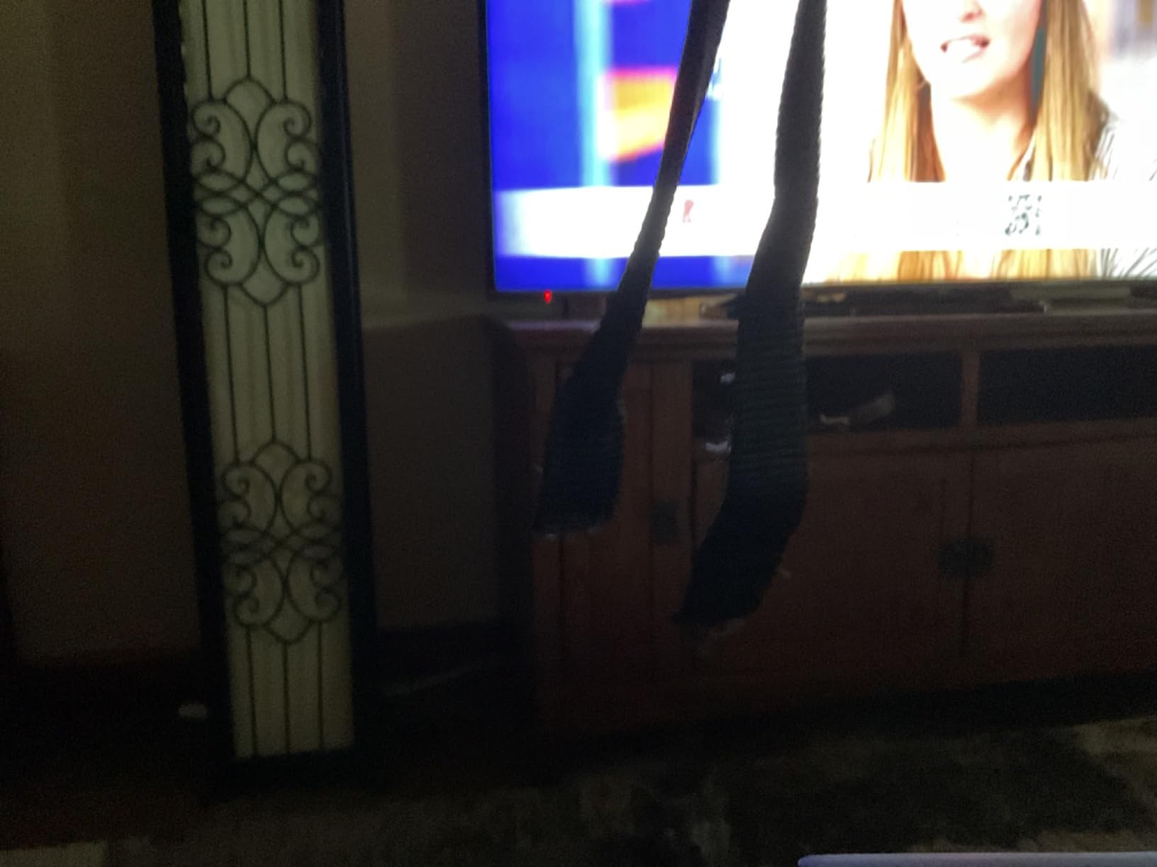 Amazon.com: Tough1 Pull-Back Halter Horse Black : JT International ...