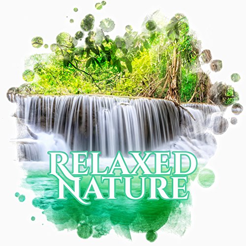 Amazon.com: Relaxed Nature – Nature Sounds fore Relaxation, Meditation ...