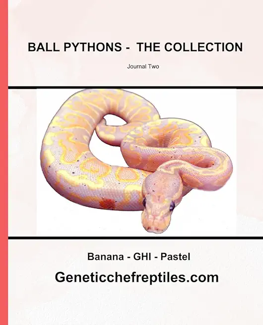 The Fascinating World Of Ball Python Genetics: Unlocking The Secrets Of ...