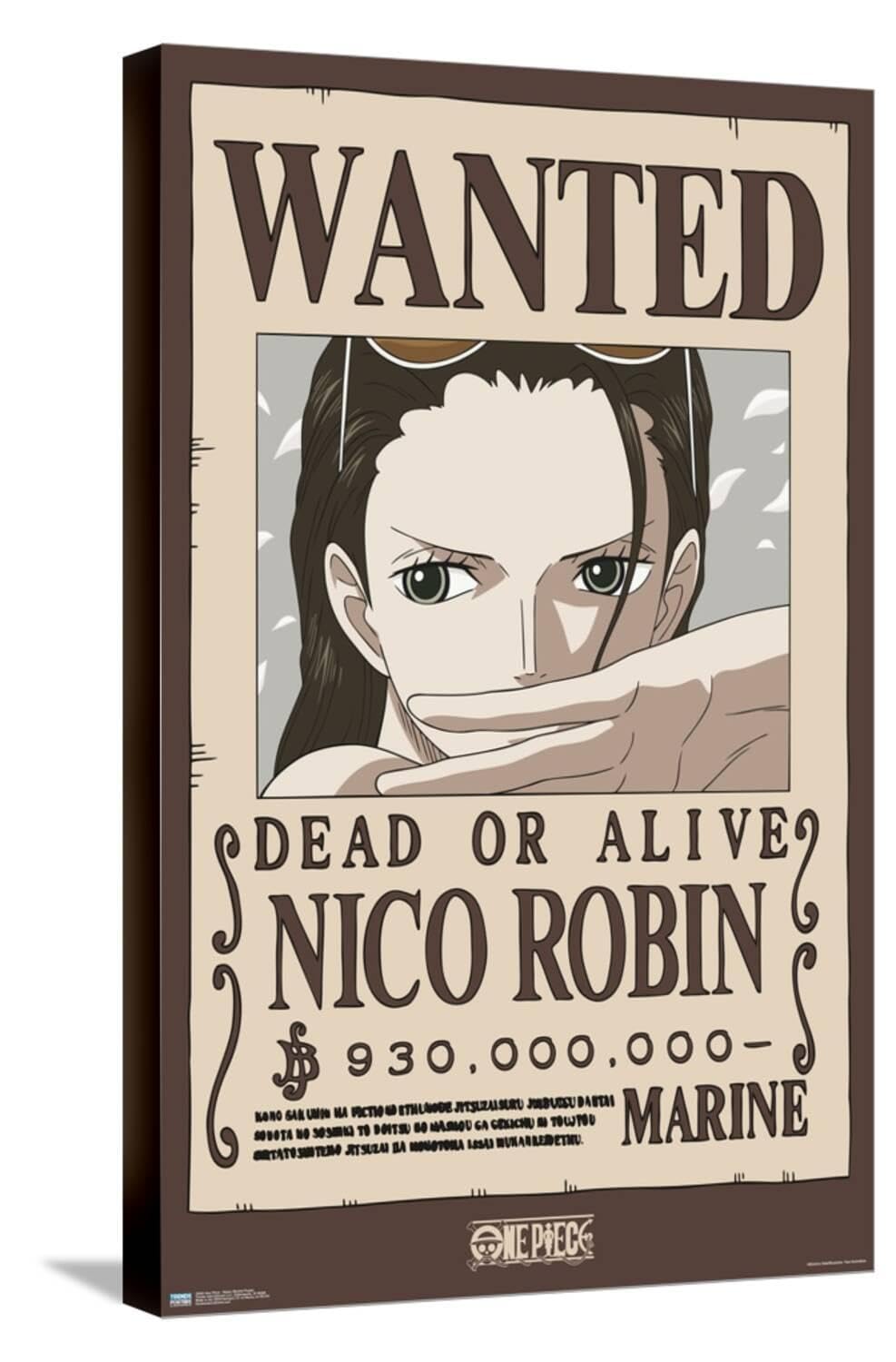 Amazon.com: Trends International One Piece - Nico Robin Wanted Poster Canvas Wall Poster, 14.72 ...