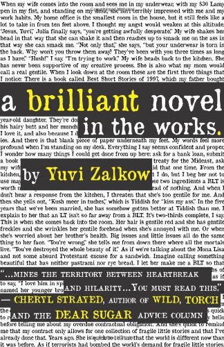 Amazon.com: A Brilliant Novel in the Works: 9781849821650: Zalkow, Yuvi ...