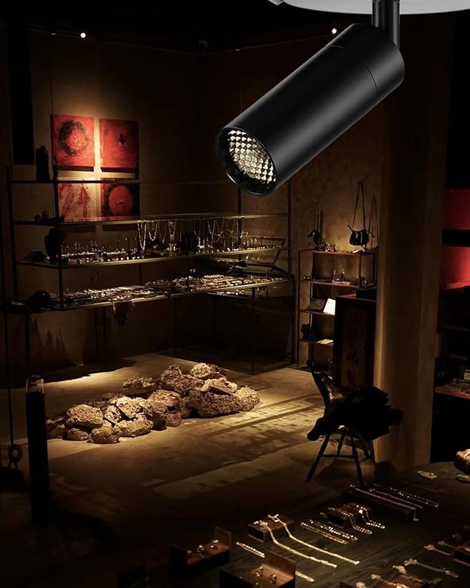 Gpaillumic Zoomable LED Ceiling Spotlight Fixture, Flush Mount ...