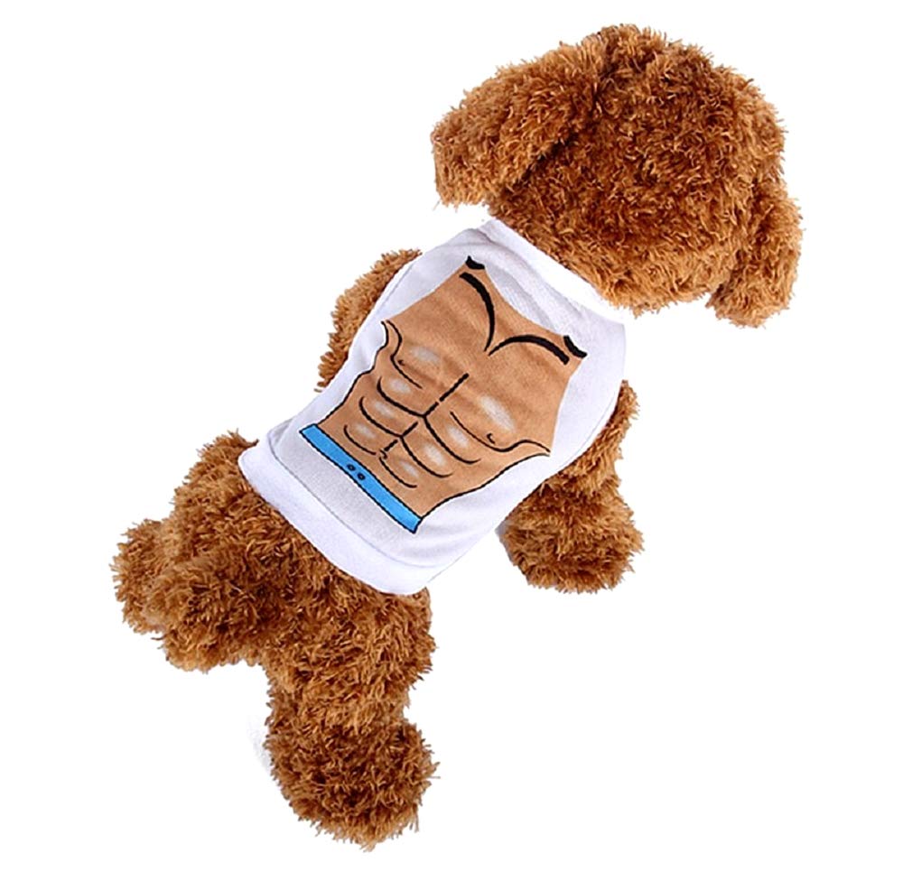 Best Halloween Costumes For Bodybuilders at Ralph Mcbride blog