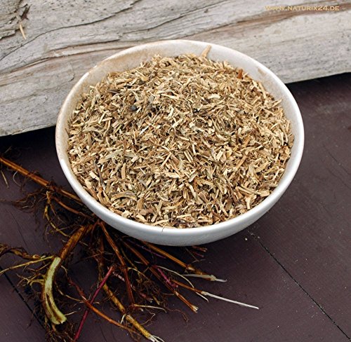 ¿Qué beneficios tiene la raíz de ortiga? | Ofertas