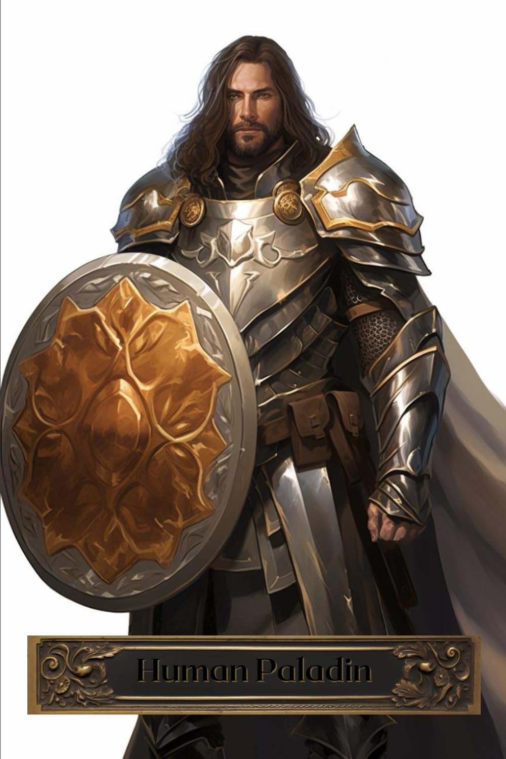 Human Paladin: Campaign Journal for 5e: Books, Laureate, Psiclone ...