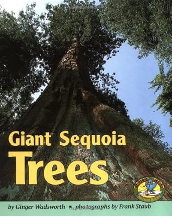 Giant Sequoia Trees (Early Bird Nature Books): Wadsworth, Ginger, Staub ...