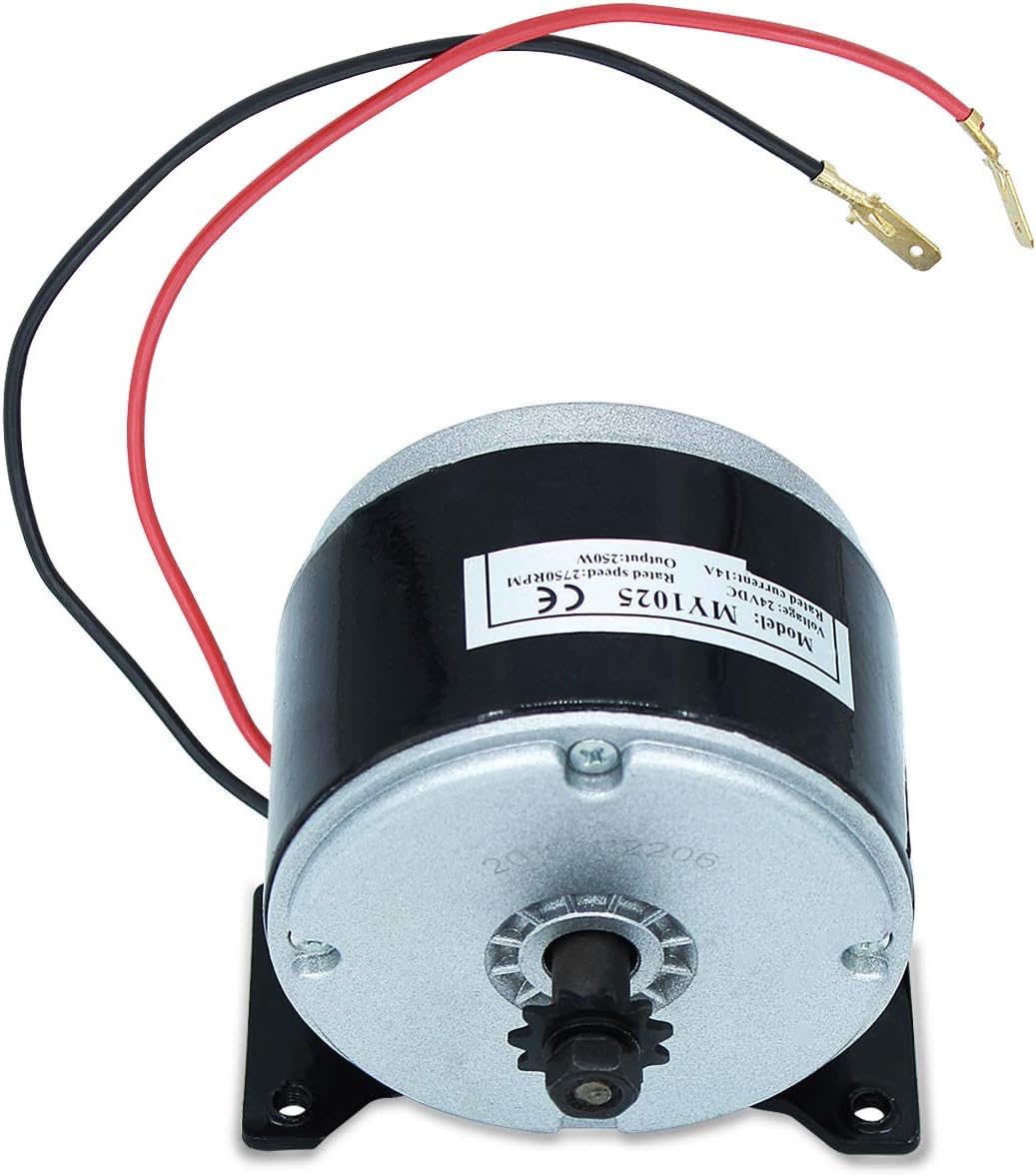 Amazon.com: ColouredPeas Electric Motor 24V DC Scooter Motor Brushed ...