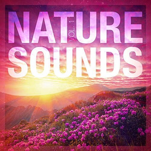 Play Nature Sounds, Vol. 1 by Nature Sound Collection on Amazon Music