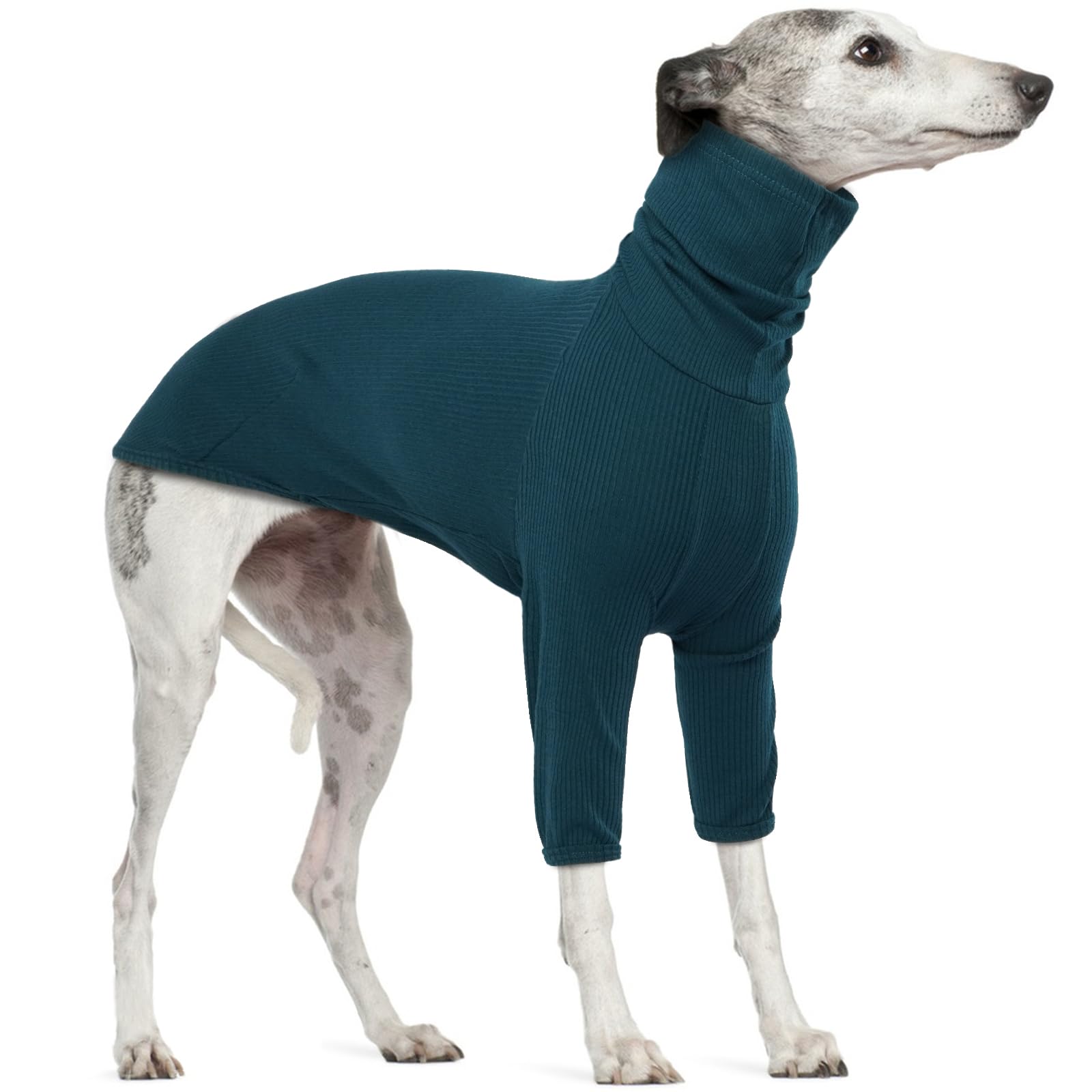 Blauwe Windhonden