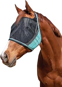 Amazon.com: UViator Protective Fly Mask & Halter - Kensington's Newest ...