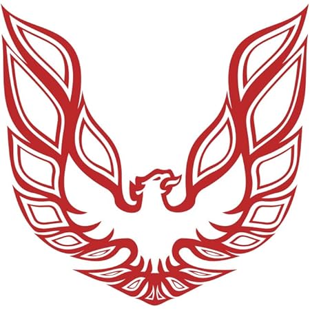Amazon.com: Factory Crafts Firebird Logo Hood Graphics Kit 3M Vinyl ...
