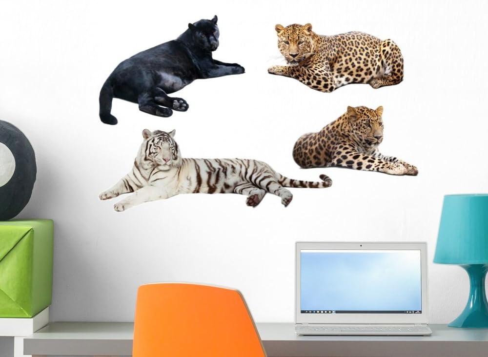 Amazon.com: Big Wild Cats Wall Decal Sticker Set Wallmonkeys Individual ...