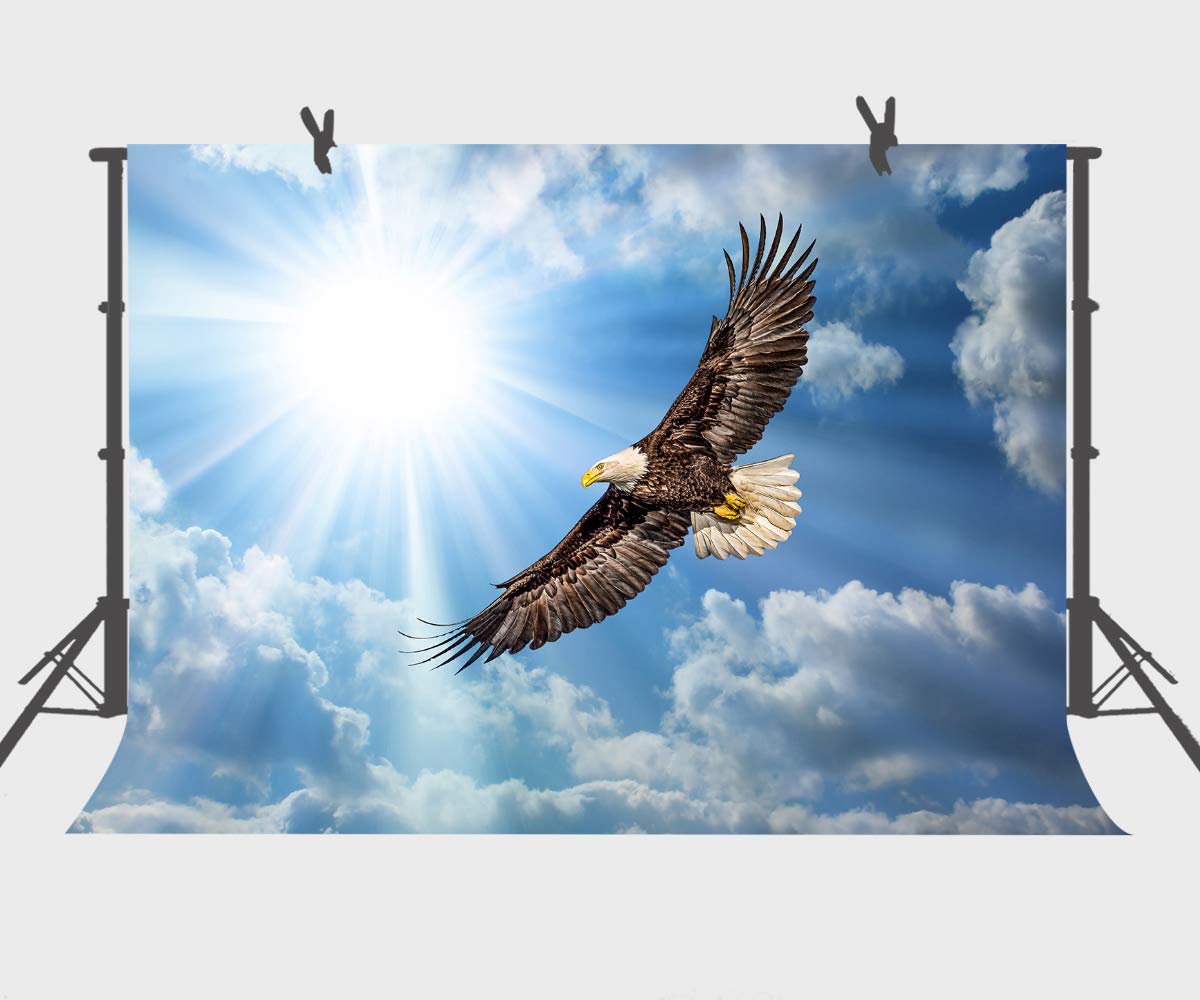 Golden Eagles Flying Wallpaper