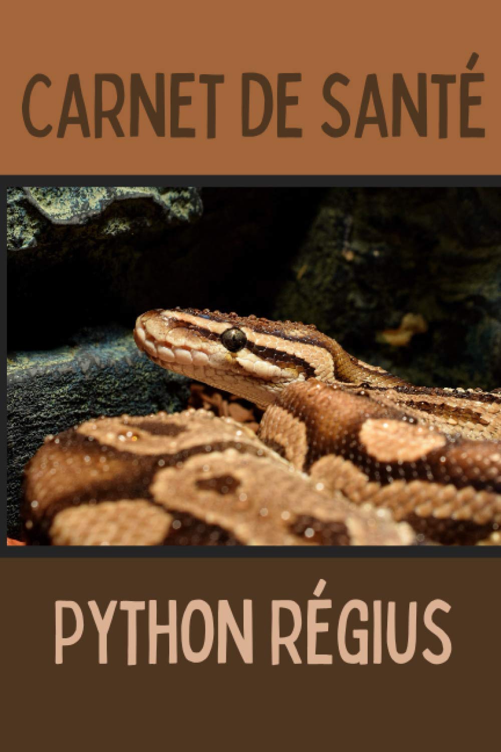 Carnet De Sante Python Regius Cahier De Suivi Pour Python | Desertcart Kenya