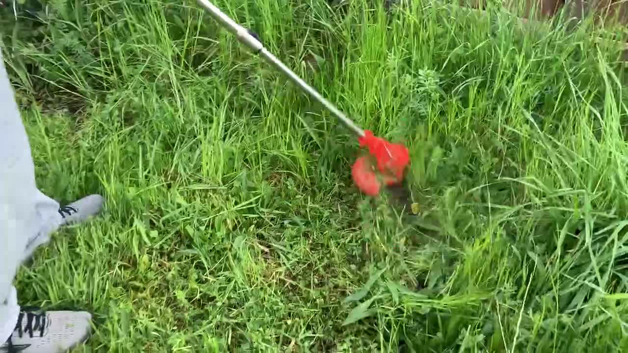 Watch Weed whacking on Amazon Live