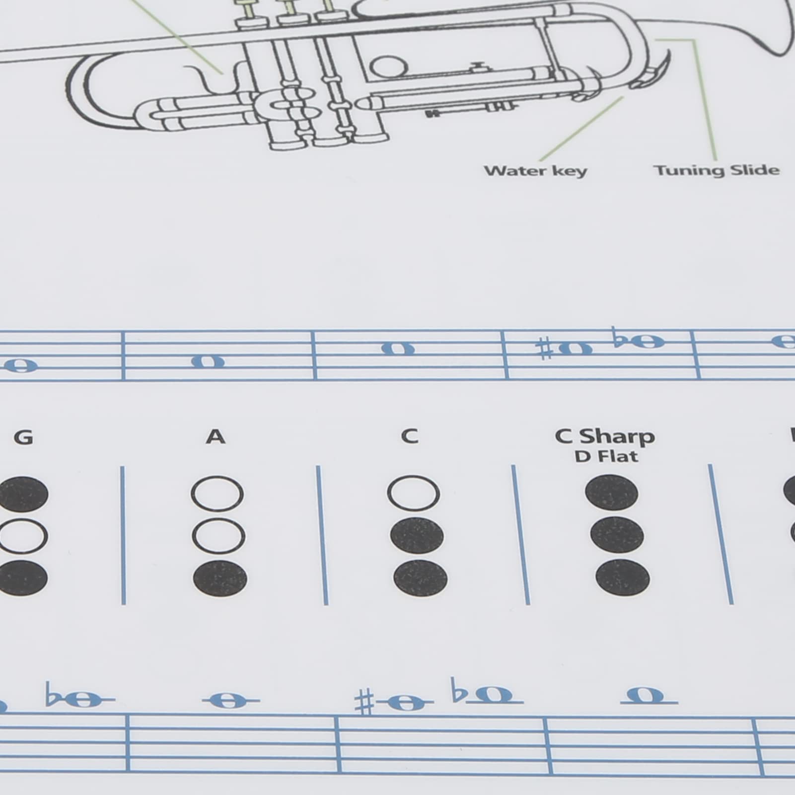 Snapklik.com : Trumpet Chord Chart Chords Reference Poster Scales ...