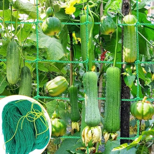 Garden Trellis Netting - Heavy Duty Trellis Net for Climbing Plants ...
