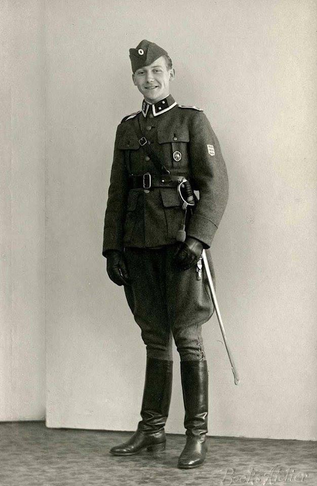 Voices of the Scandinavian Waffen-SS: The Final Testament of Hitler's ...