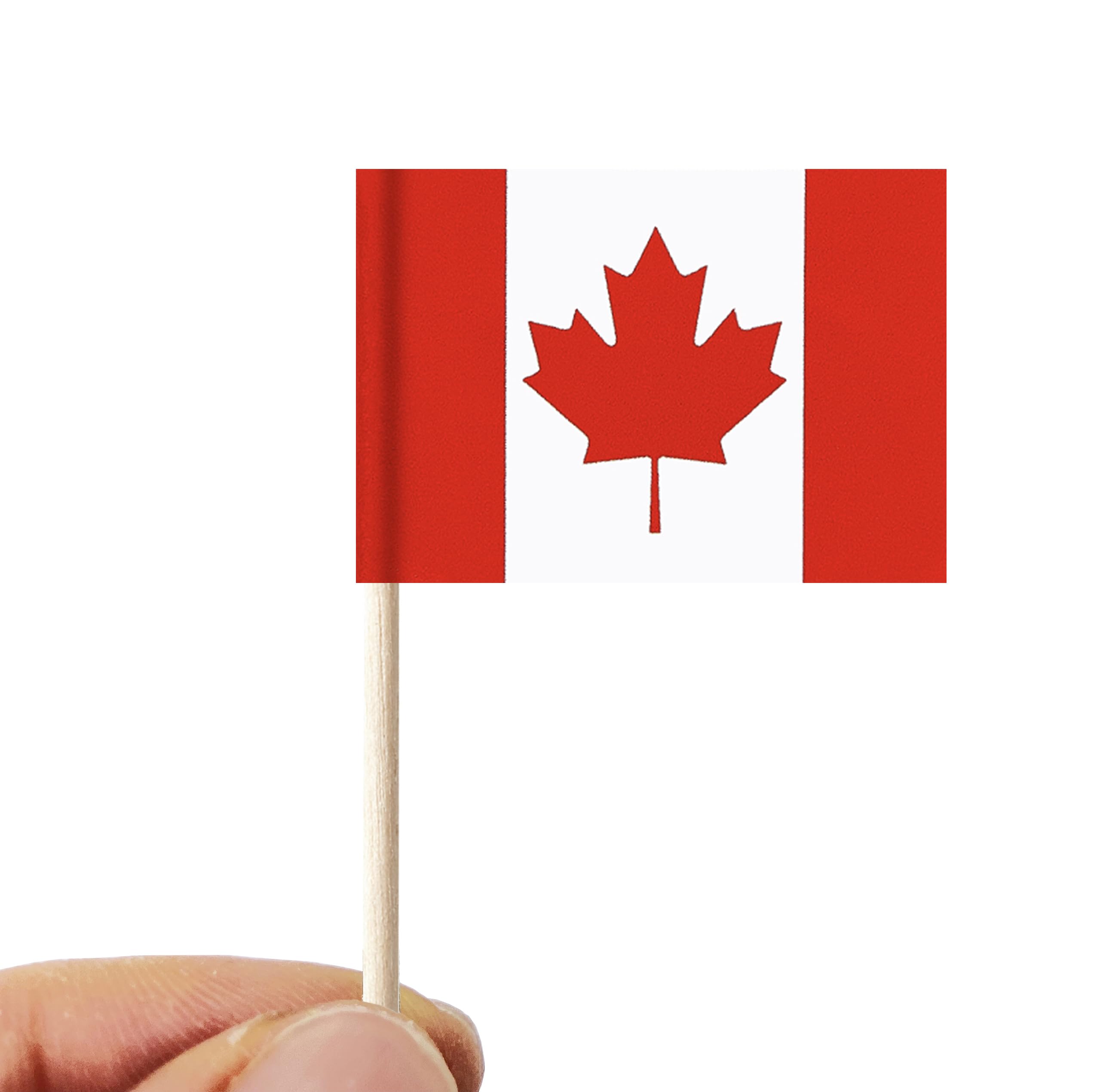 Patriotic Cake Decorations Canada 100-Pack Canada Flag Cupcake Toppers ...