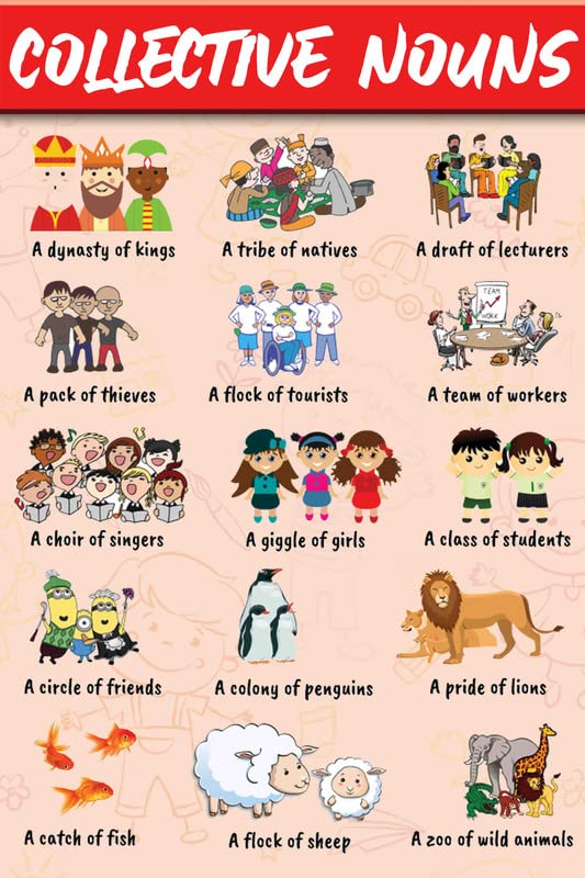Collective Nouns Poster
