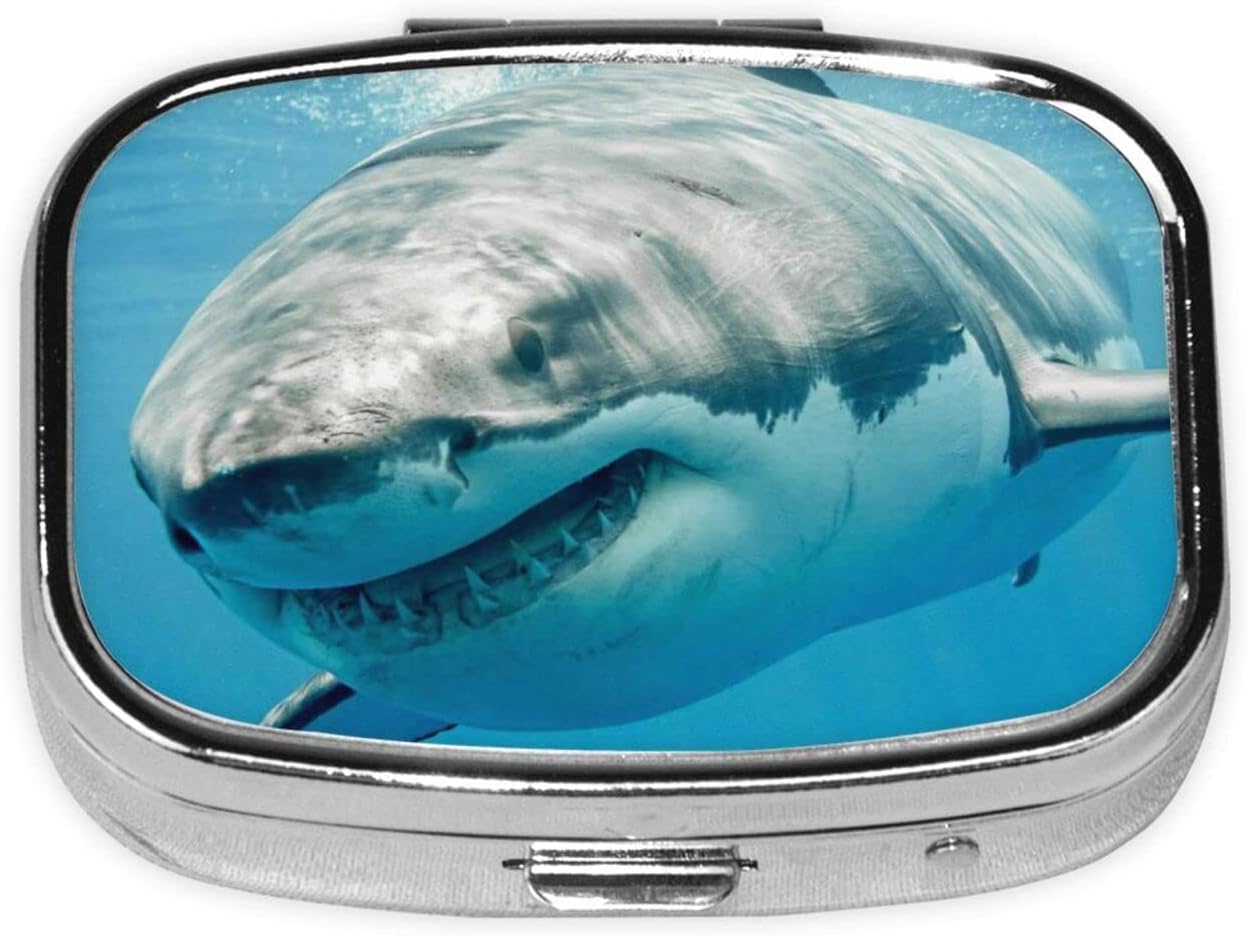 Amazon.com: Fish in Underwater A Two Compartment Small Medicine Box ...