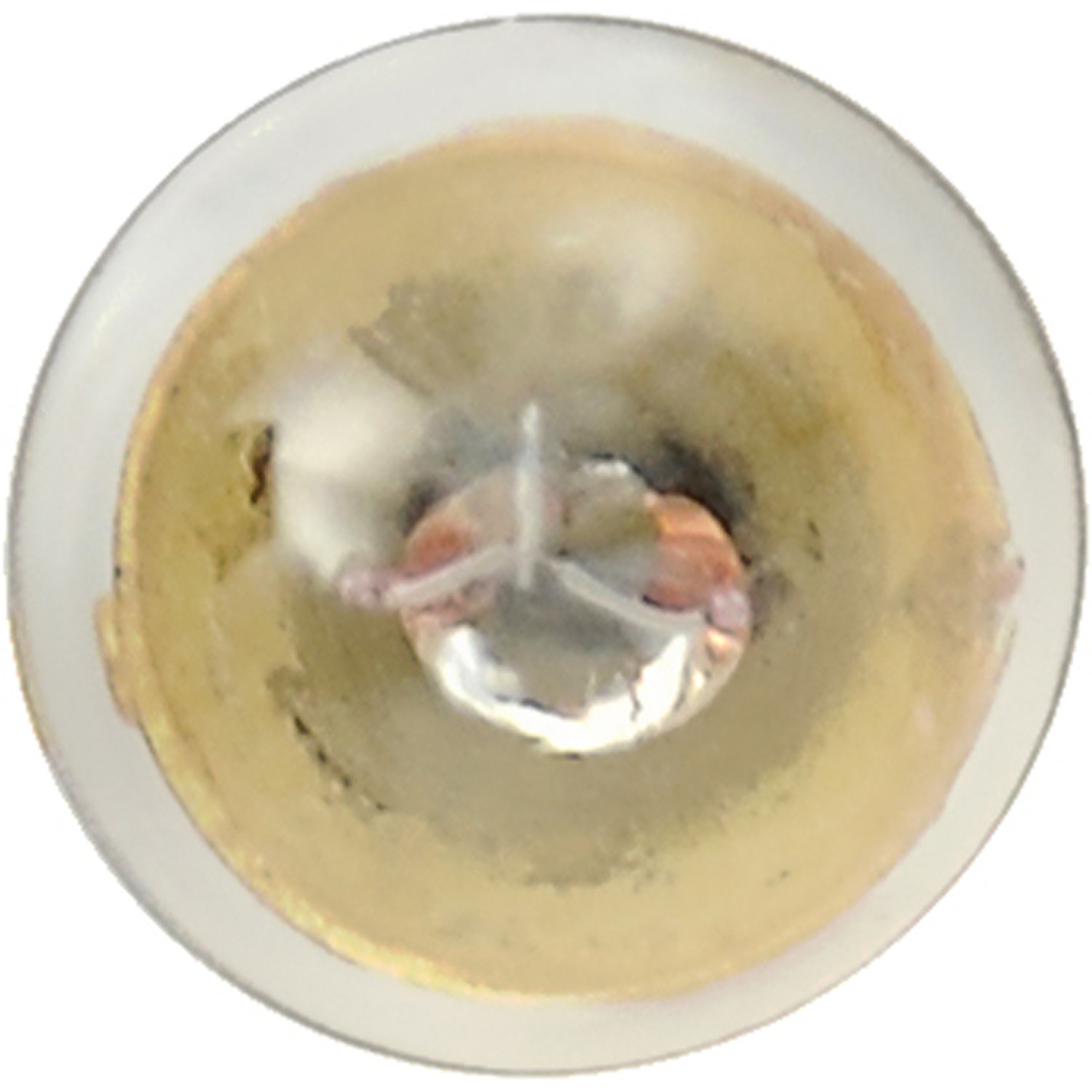 Snapklik.com : SYLVANIA 1445 Basic Miniature Bulb