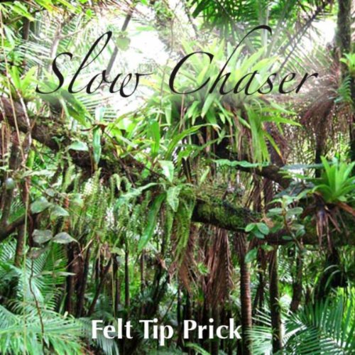 Play Slow Chaser by Felt Tip Prick on Amazon Music