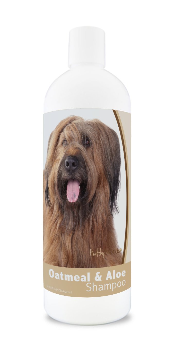 Briard Golden Retriever Mix