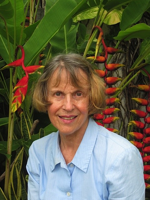 Amazon.co.jp: Laura Jeannette Gau Stone: books, biography, latest update