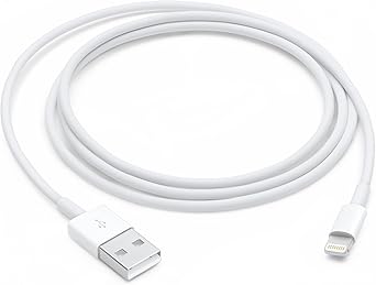 Amazon.com: Apple Lightning to USB Cable (1 m) : Electronics