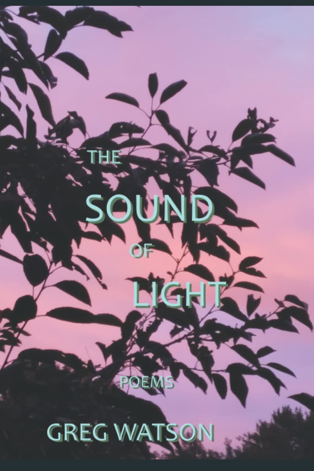 The Sound of Light: Watson, Greg: 9780982933527: Amazon.com: Books