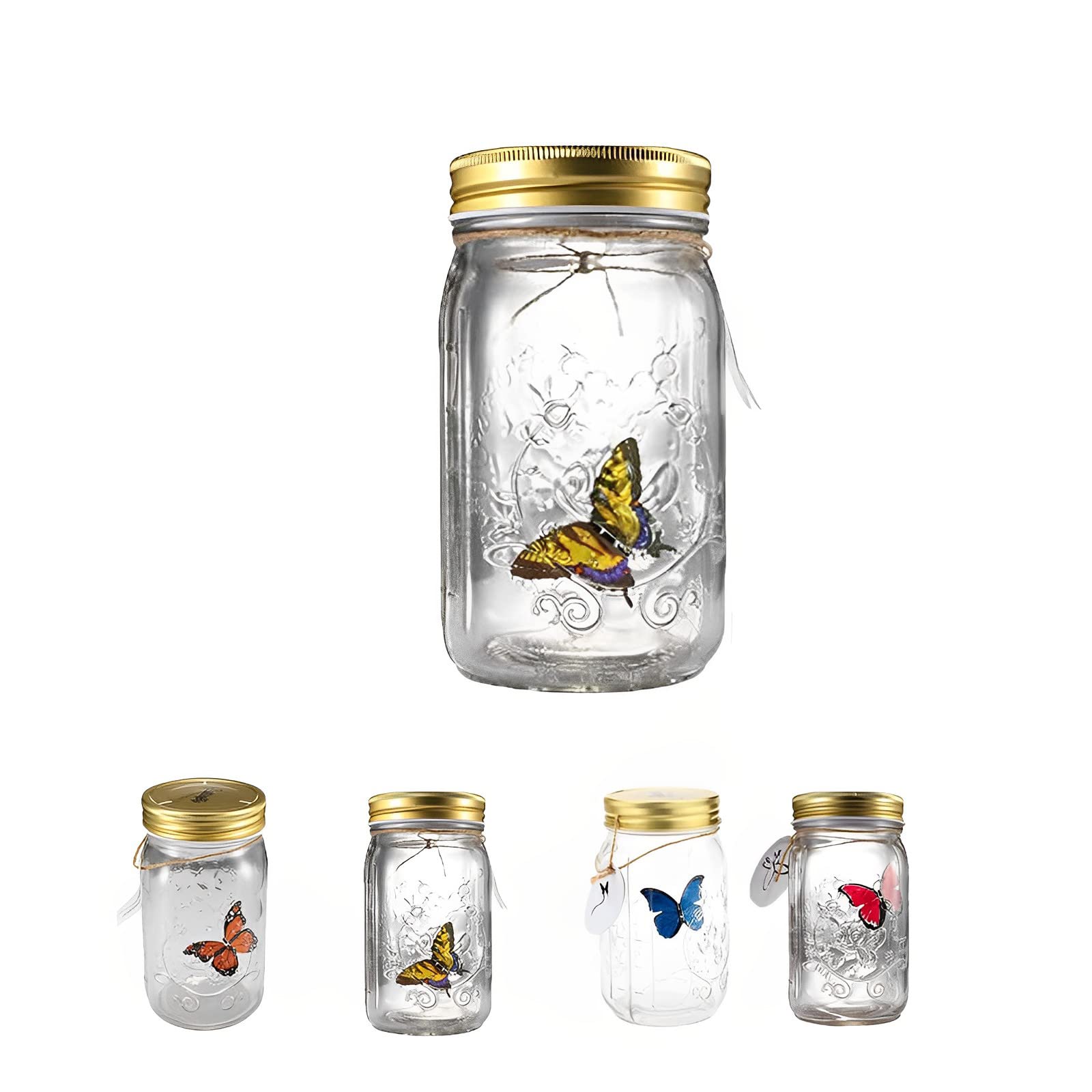 10 Best Butterfly Collection Jars for Displaying Your Beautiful Insects ...