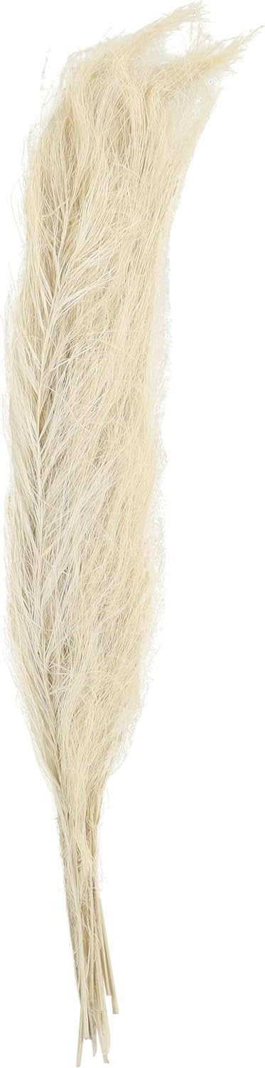Amazon.com: Deco 79 Dried Plant Feather Like Leaves Home Decor Natural ...