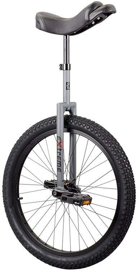 Amazon.com : Sun Unicycle, 24In Extreme, Grey : Flat Sheets : Sports ...
