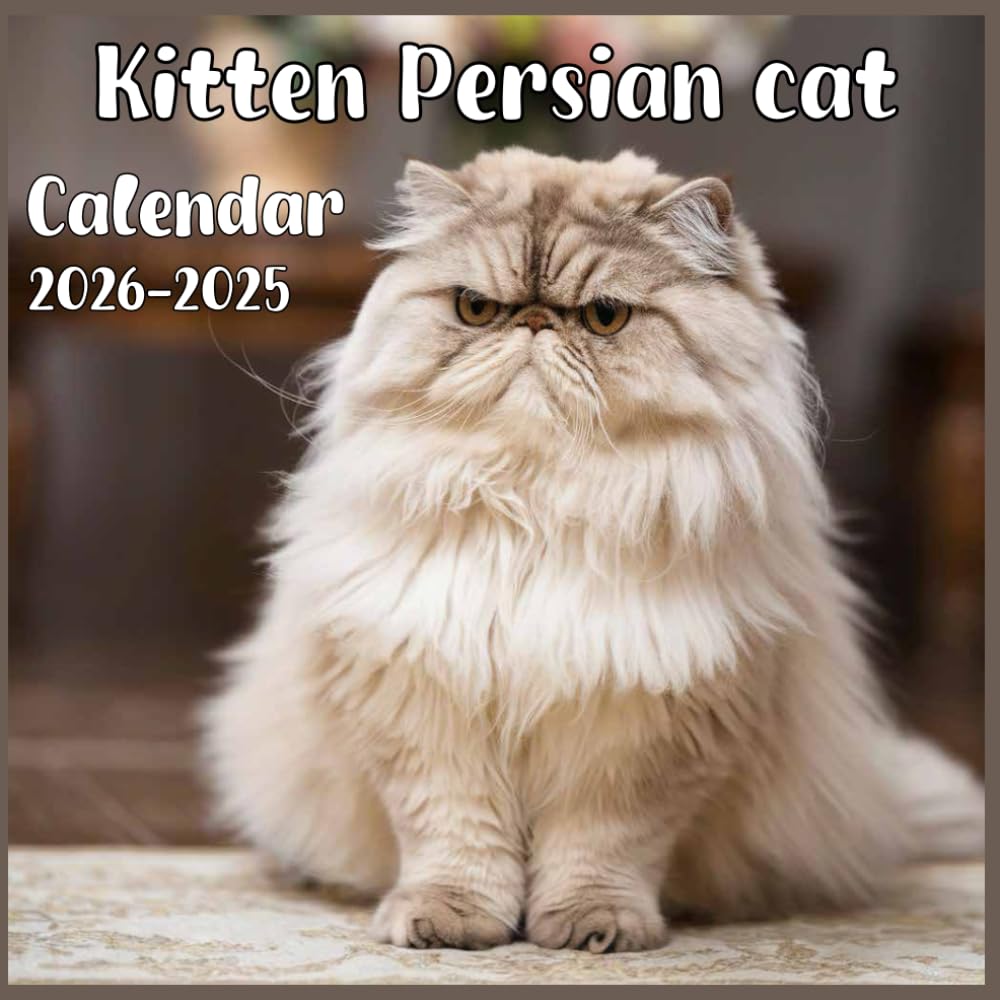 Kitten Persian Cat Calendar 2025 2 Year Planner January 2025 ...