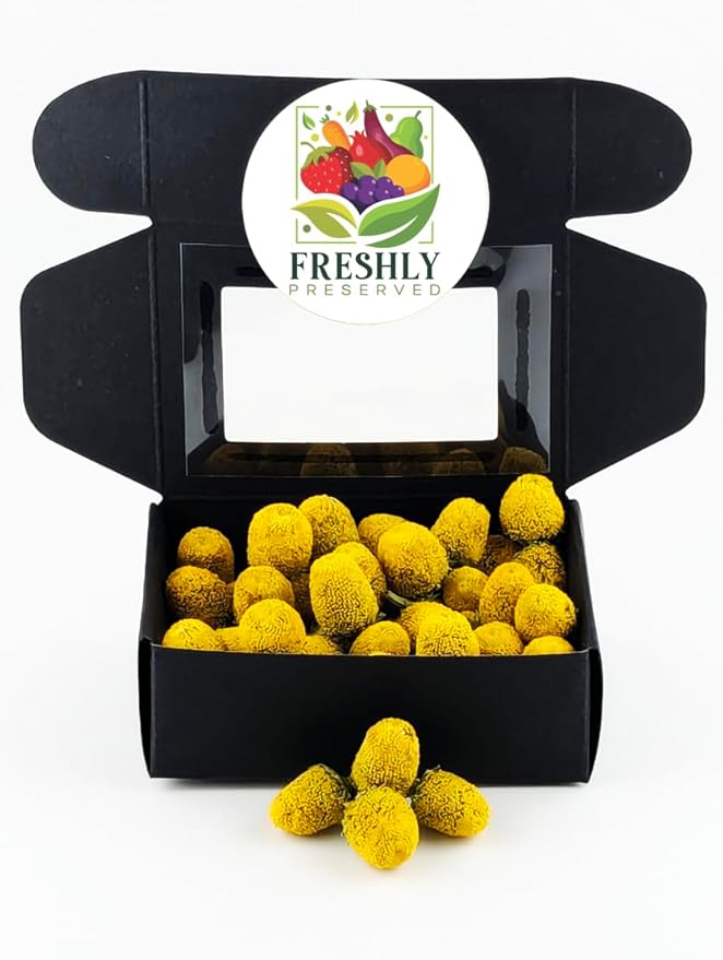 Amazon.com: Buzz Buttons Edible Flowers for Cocktails & Desserts - 20 ...