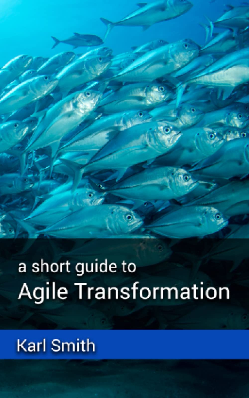 Amazon.com: A short guide to Agile Transformation: 9781838237073: Smith ...