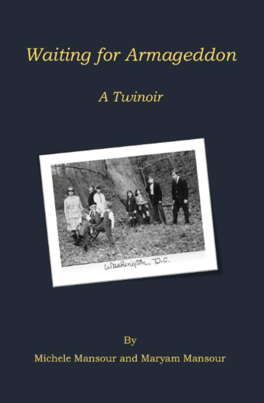 Waiting for Armageddon: A Twinoir: Mansour, Michele, Mansour, Maryam ...