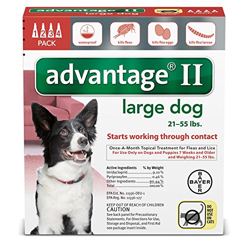 4PK RED Advantage II
