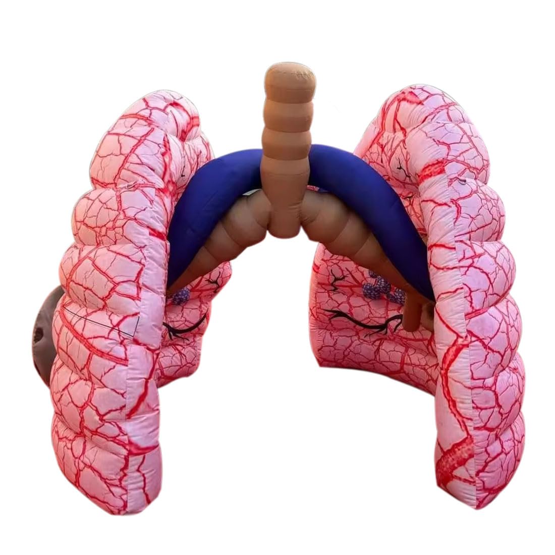 Snapklik.com : Giant Inflatable Lung Medical Exhibits Advertising Large ...