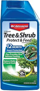 Amazon.com: BioAdvanced 12 Month Tree and Shrub Protect and Feed ...