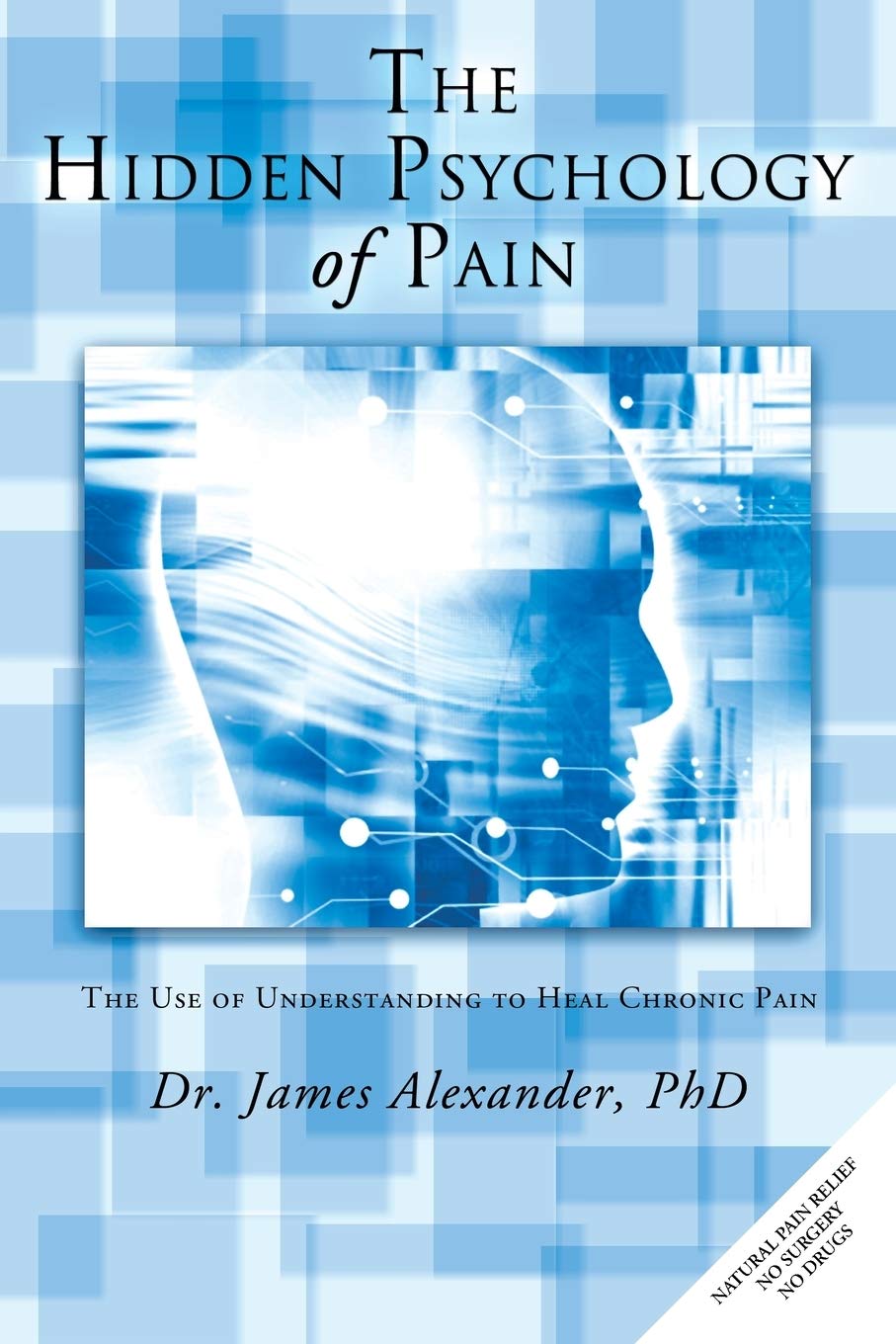 The Hidden Psychology of Pain: The Use of Understanding to Heal Chronic ...