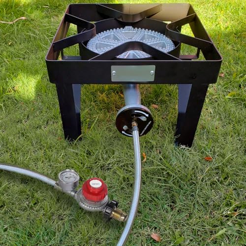 GASPRO High Pressure Propane Regulator with 12FT Braided Hose, 30-PSI ...