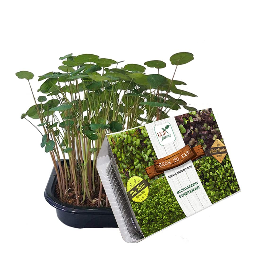 UGF Farms Ambadi Greens Microgreens Grow Kit | Soilless Organic Plant ...