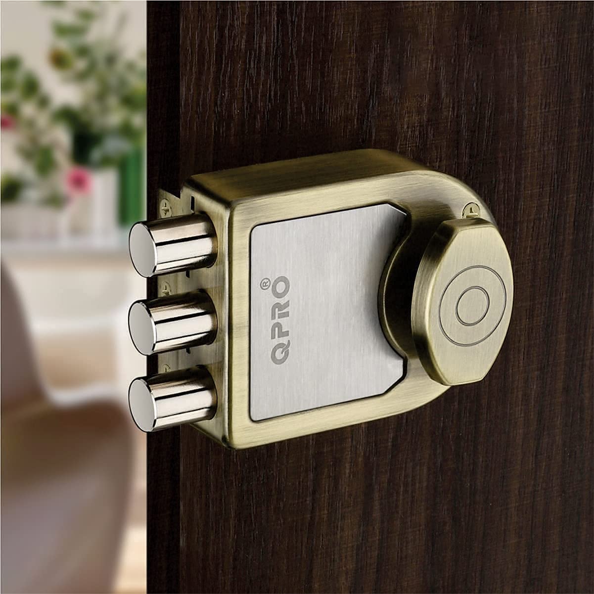 Qpro Antique Finish Main Door Lock With 4 Reversible Brass | Desertcart ...