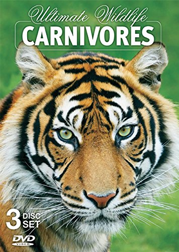 Carnivores (3pc) / (Full Tin) [DVD] [Region 1] [NTSC] [US Import ...