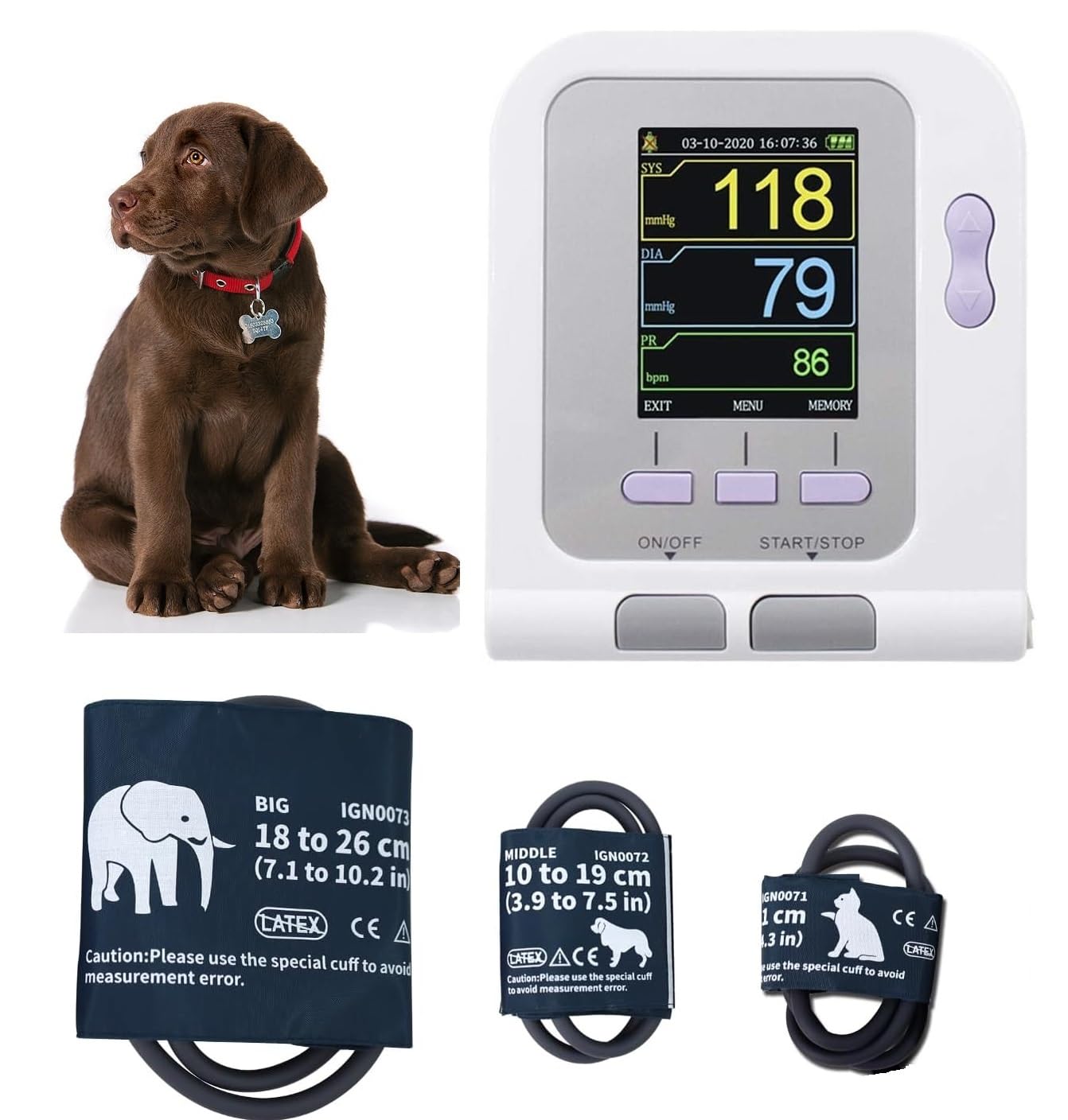 Amazon.com: Windrose Veterinary Animal Use Vet Electronic Automatic ...