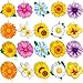 Amazon.com: 40 Pieces Summer Ornaments for Tree Wood Flower Butterfly ...