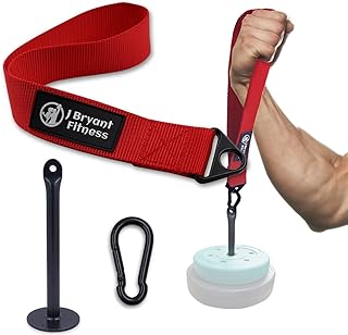 Understanding Forearm Supination: The Role Of The Biceps Brachii Muscle ...